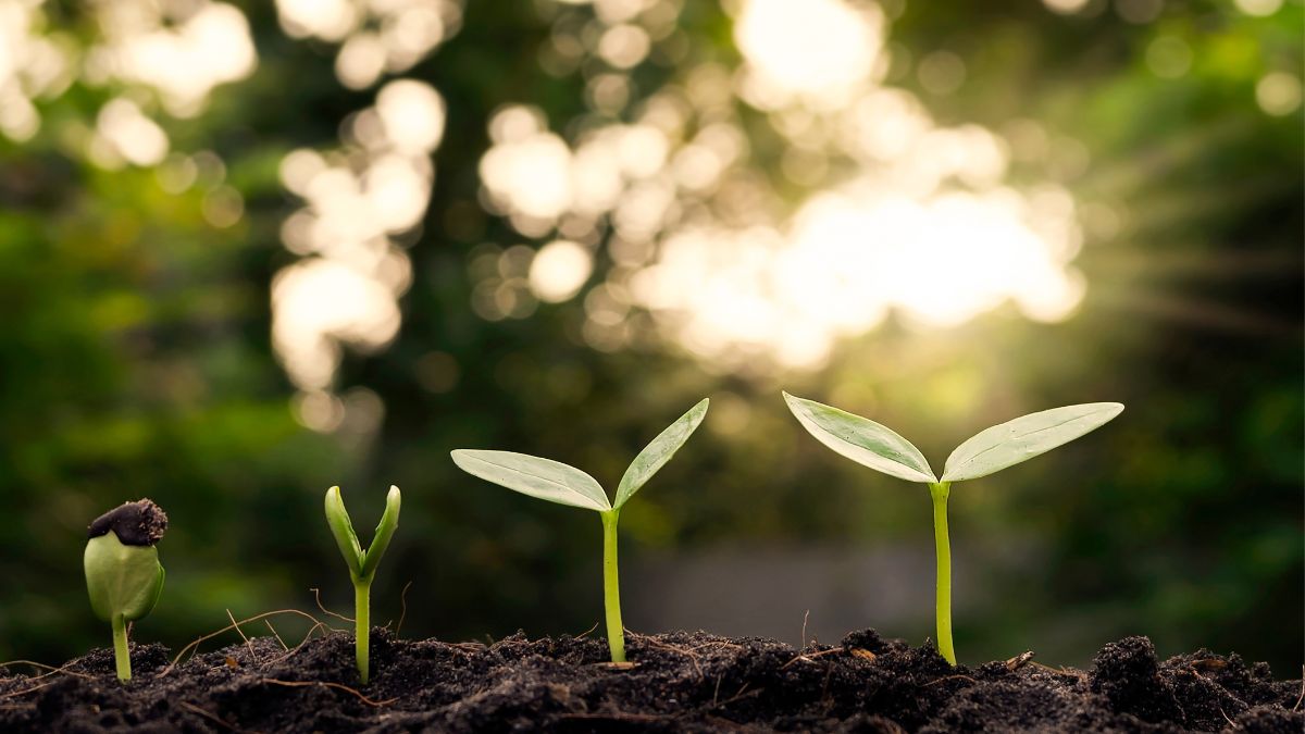 Unveiling the Corporate Sustainability Reporting Directive: A Leap ...