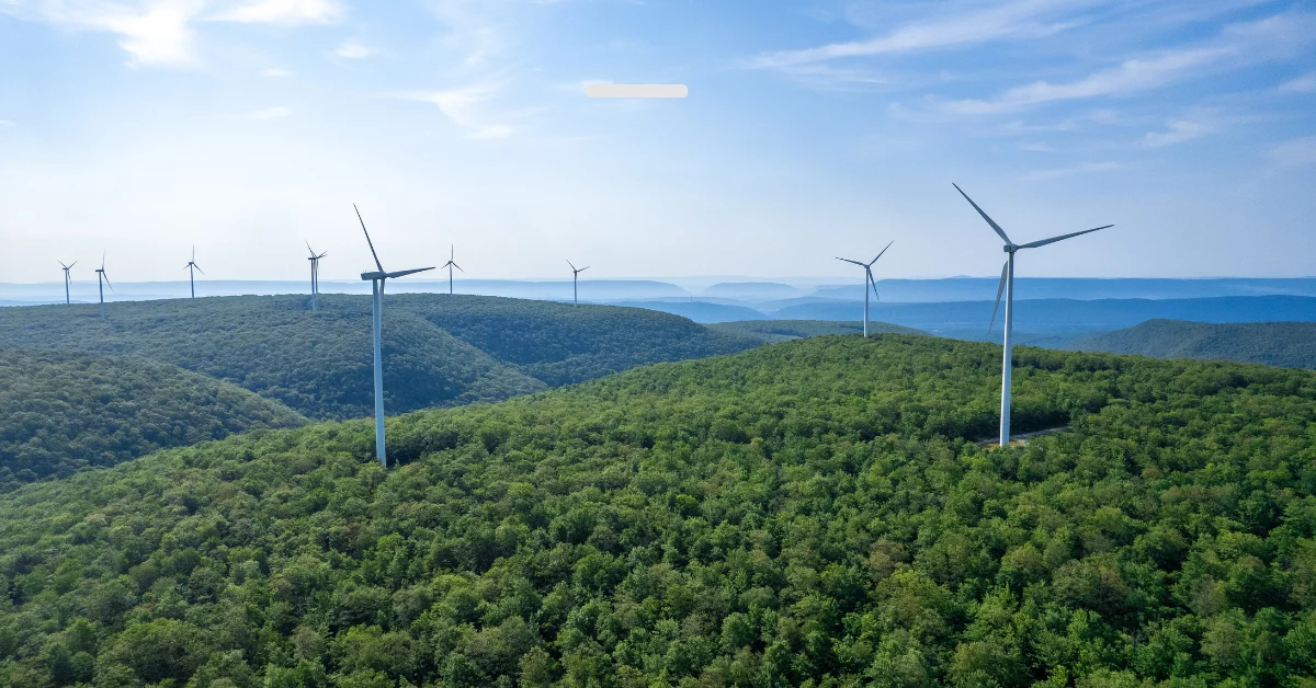 Why Irish Businesses Need ISO 14001: Strengthening Environmental ...